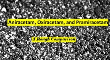 Racetam Introduction and Comparison: Piracetam, Aniracetam, Oxiracetam ...